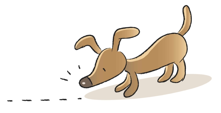 Why Is My Labrador Vomiting? 9 Real Reasons and What You Can Do to Help